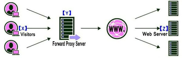 The Ultimate Guide to Proxy Servers 2022 - Stupid Proxy